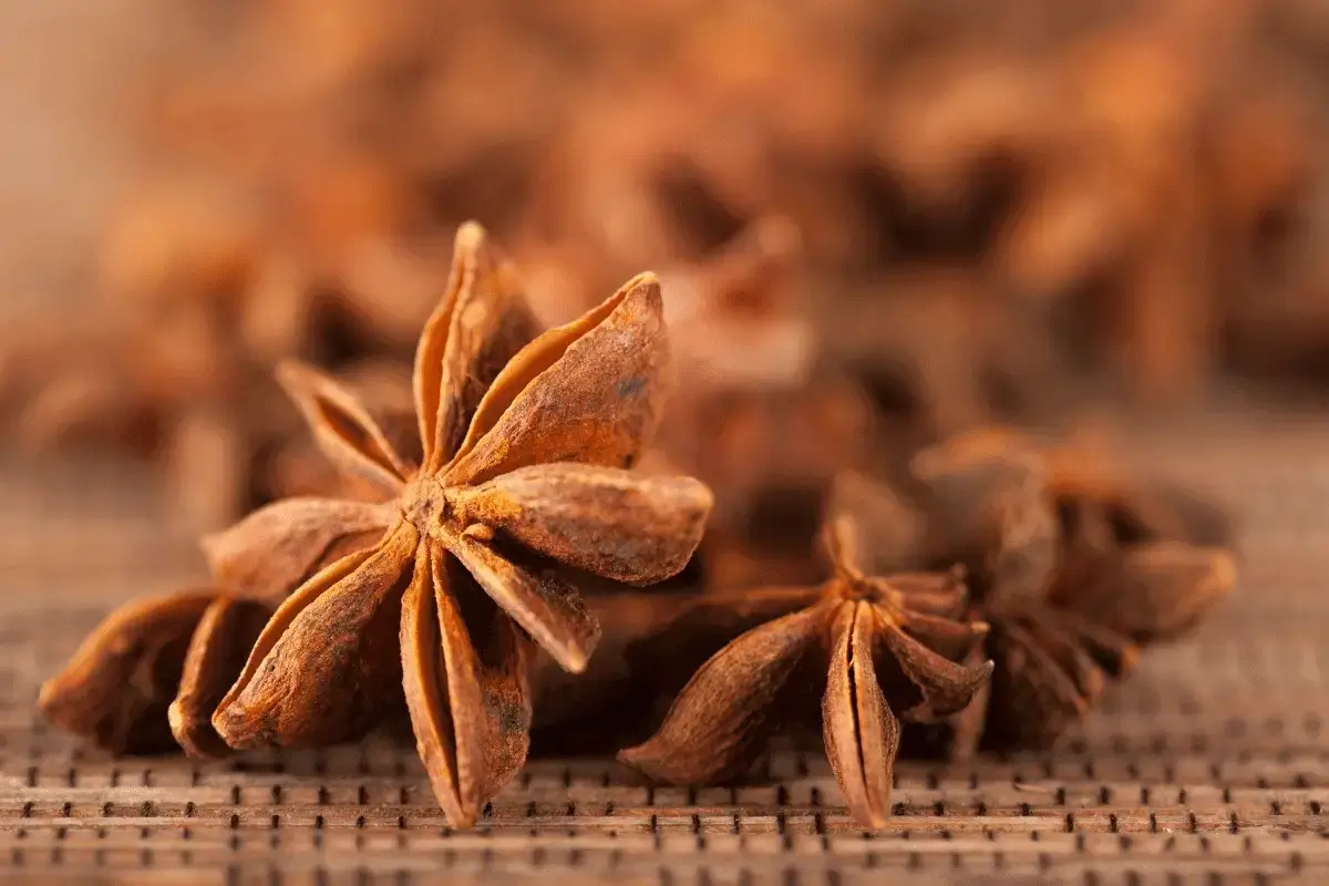 Top 10 Benefits of Anise - Listing Best