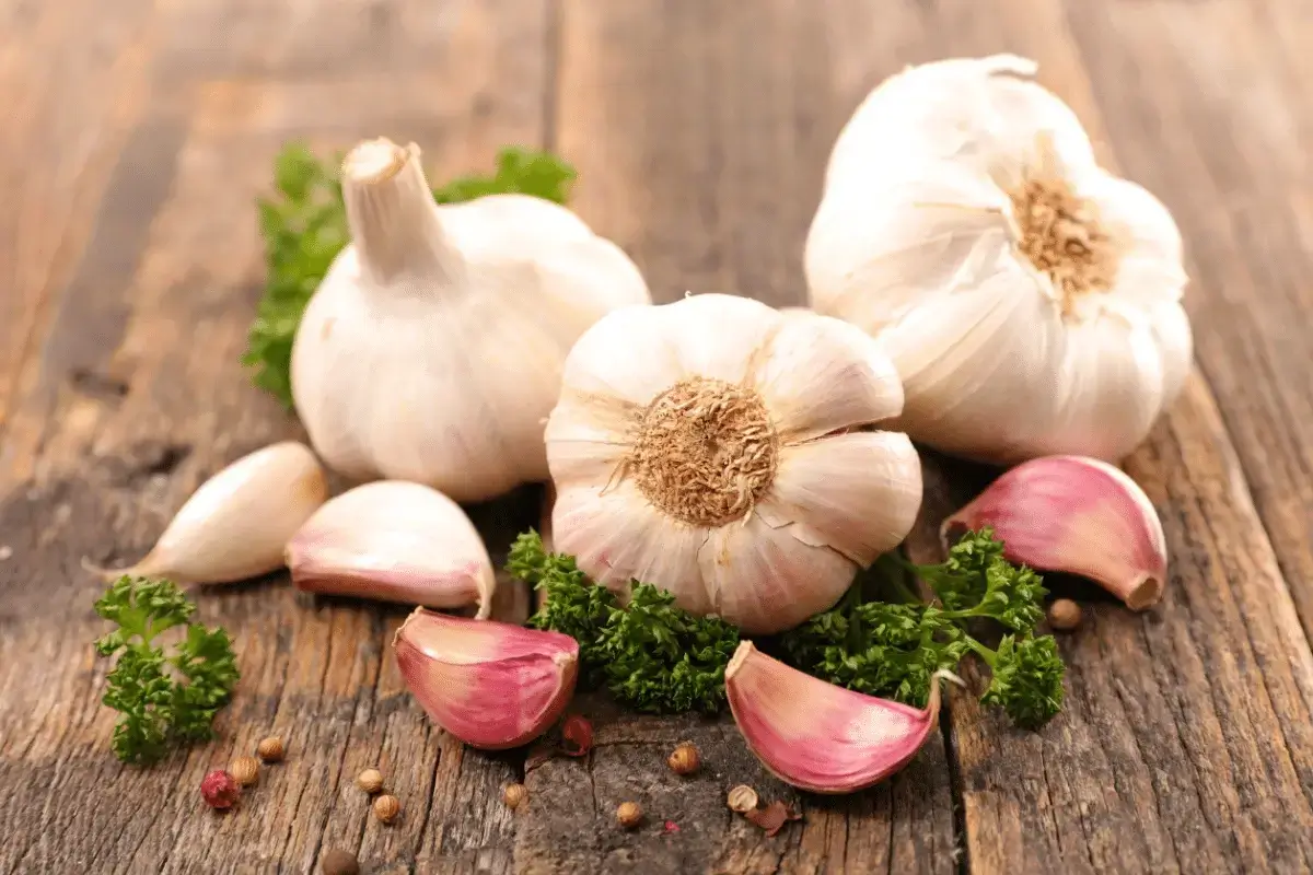 Top 10 Benefits of Garlic - Listing Best