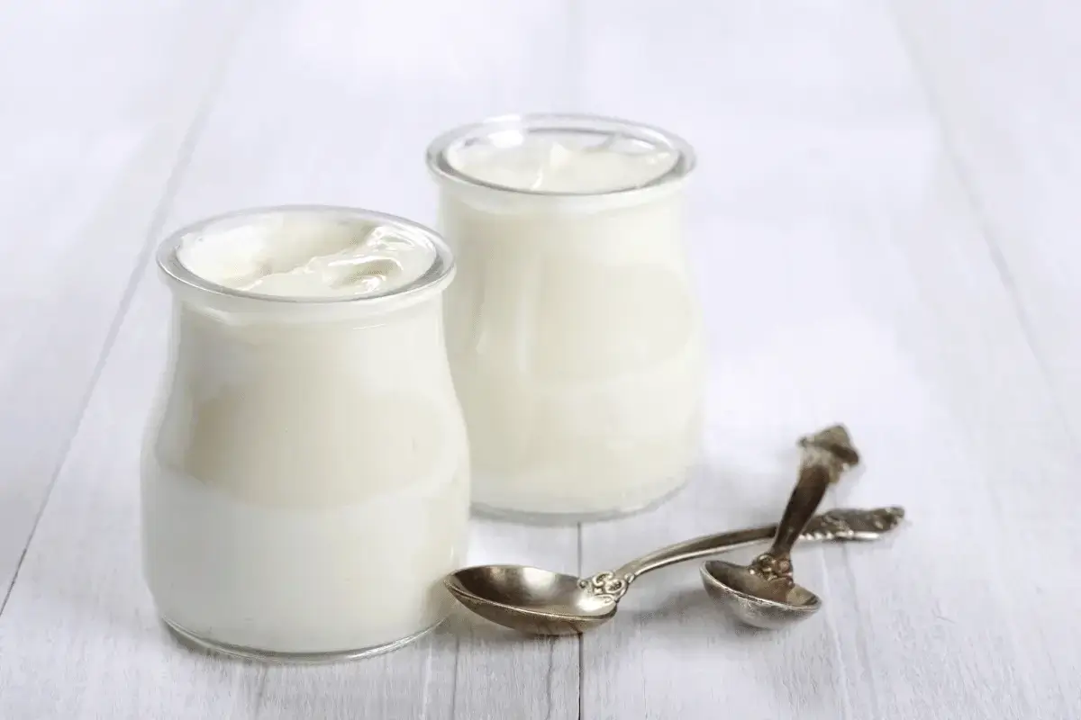 Top 10 Types of Greek Yogurt - Listing Best
